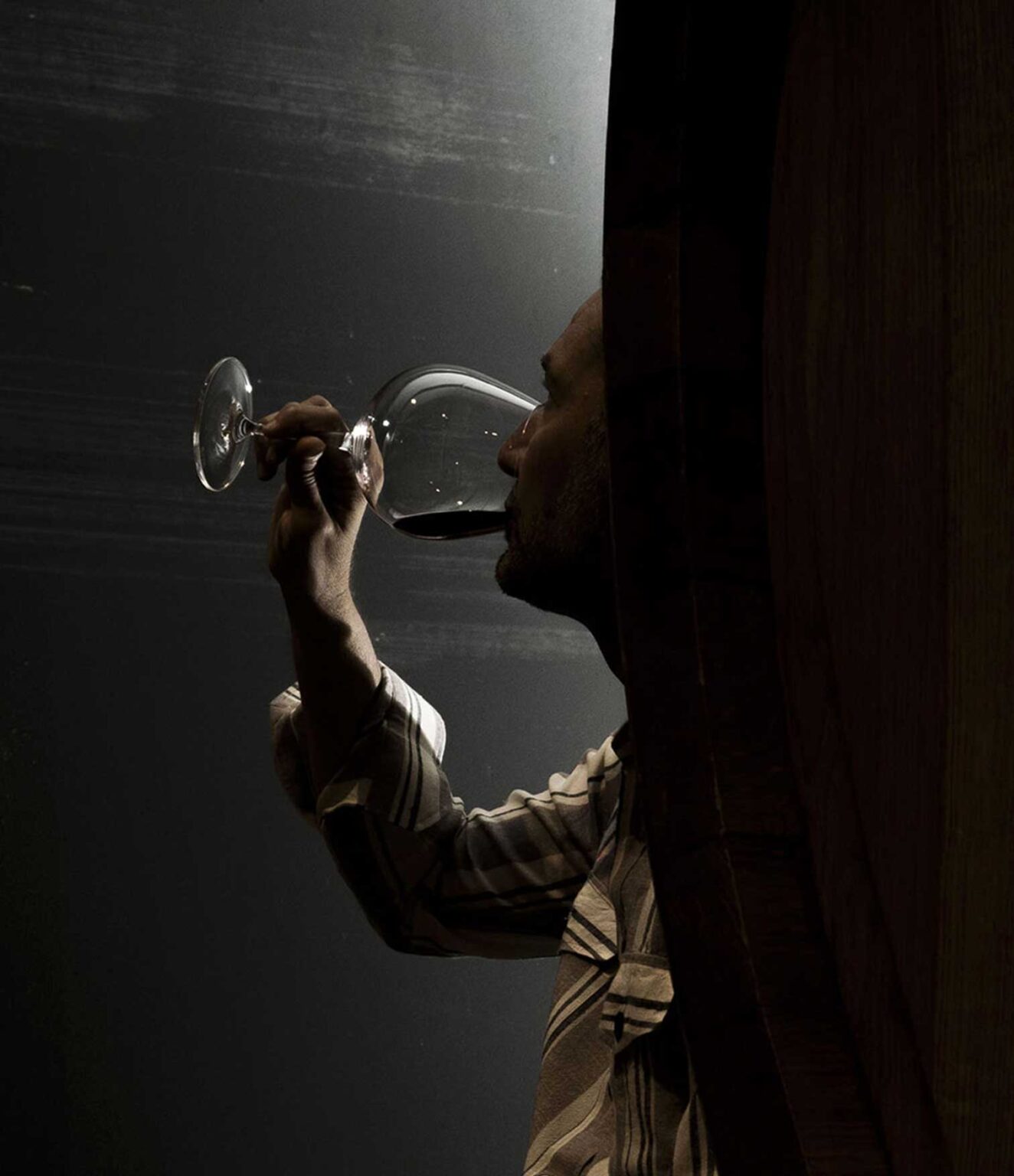 Davide Fregonese Wines – Davide Fregonese